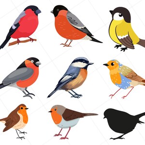 Robin Bird SVG Bundle, Robin Bird Vector, Robin Bird Design, Robin Bird ...