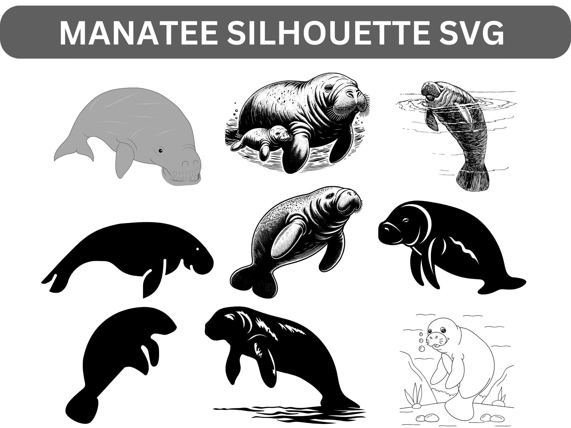 Manatee SVG Bundle, Cute Manatee Clipart, Manatee Cut File, Manatee ...