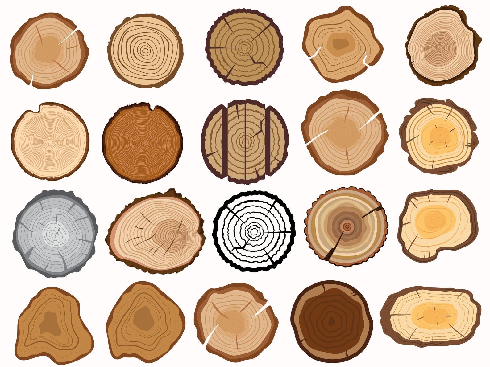 Wood Slice SVG Bundle, Tree Rings Svg,wood Slice Dxf, Wood Slice Png ...