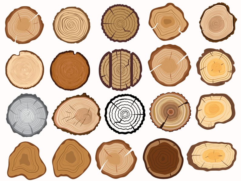 Wood Slice SVG Bundle, Tree Rings Svg,wood Slice Dxf, Wood Slice Png ...