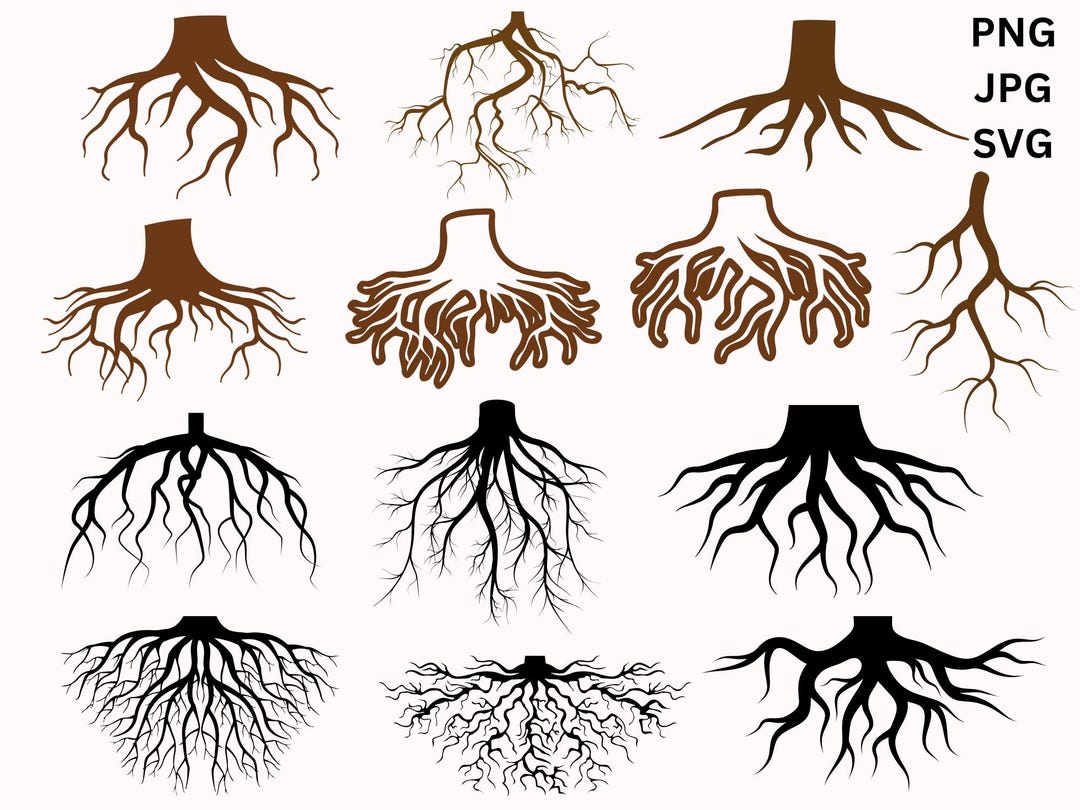 Tree Roots SVG File for Cricut, Bundle Collection of Roots, Vector ...