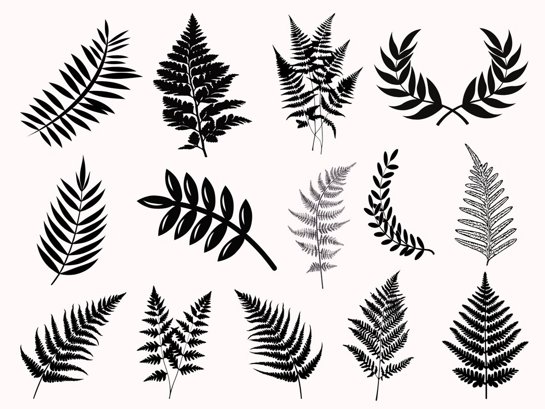 Fern Leaves Svg Bundle, Fern Cricut, Fern Svg Bundle, Fern Leaf SVG ...