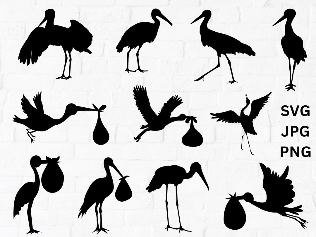 Stork Svg Bundle, Stork Clipart, Stork Cut File, Bird Svg, Bird Clipart ...