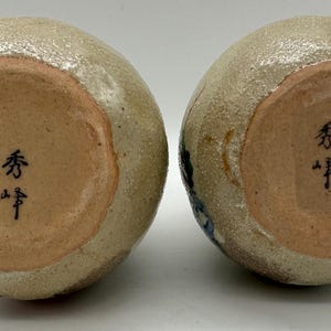 Japanese Utsuwa Pottery Sake Set, Hand Painted With Two Decanters and ...