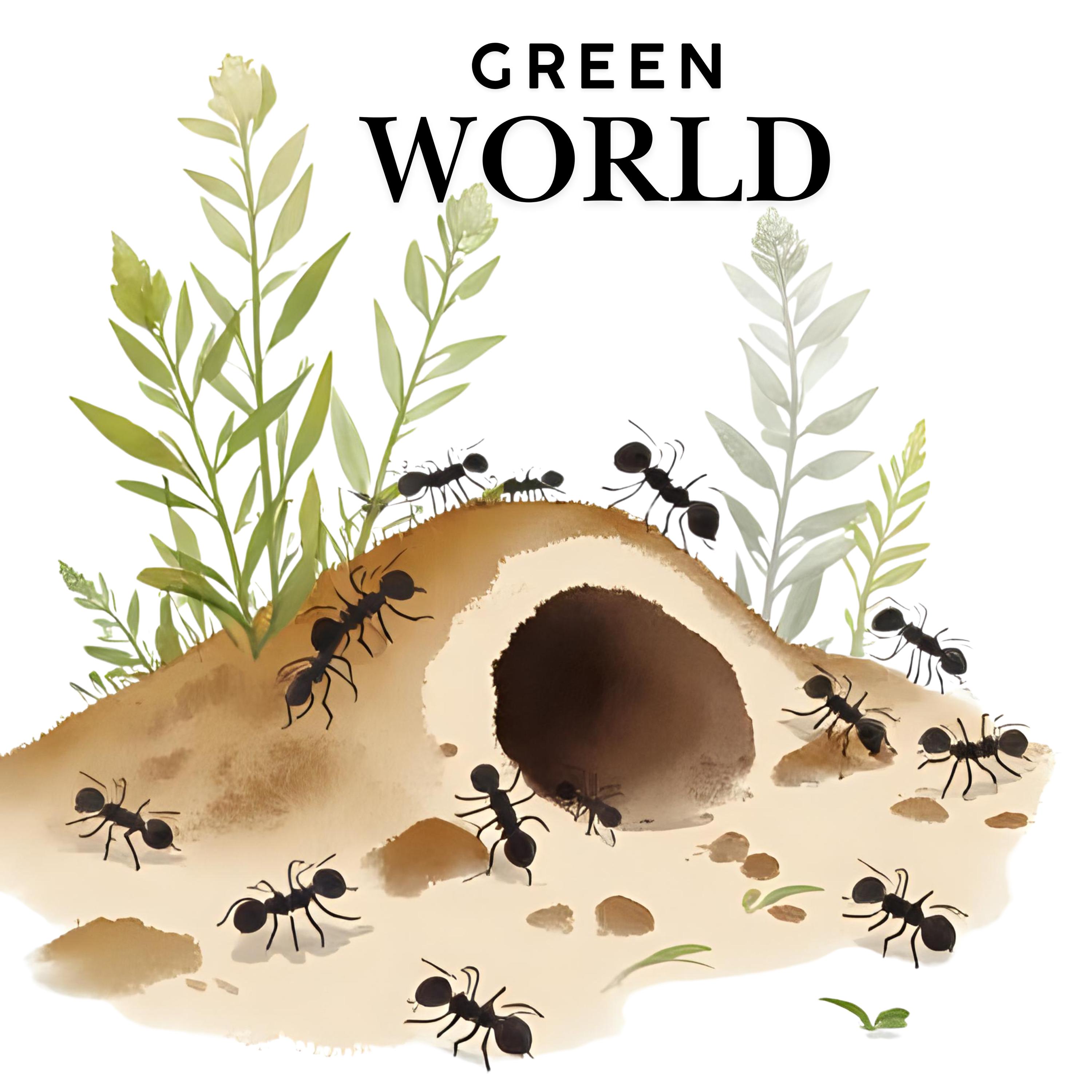 Ant Farm Clipart: Eco-themed Digital Stickers (PNG Download) - Etsy