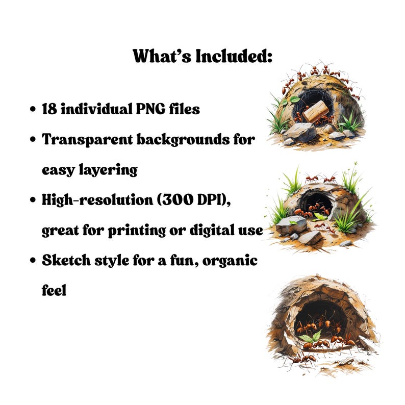 18 PNG Eco Sketch Ant Clipart Bundle, Eco Clipart Ants, Edu Cation ...