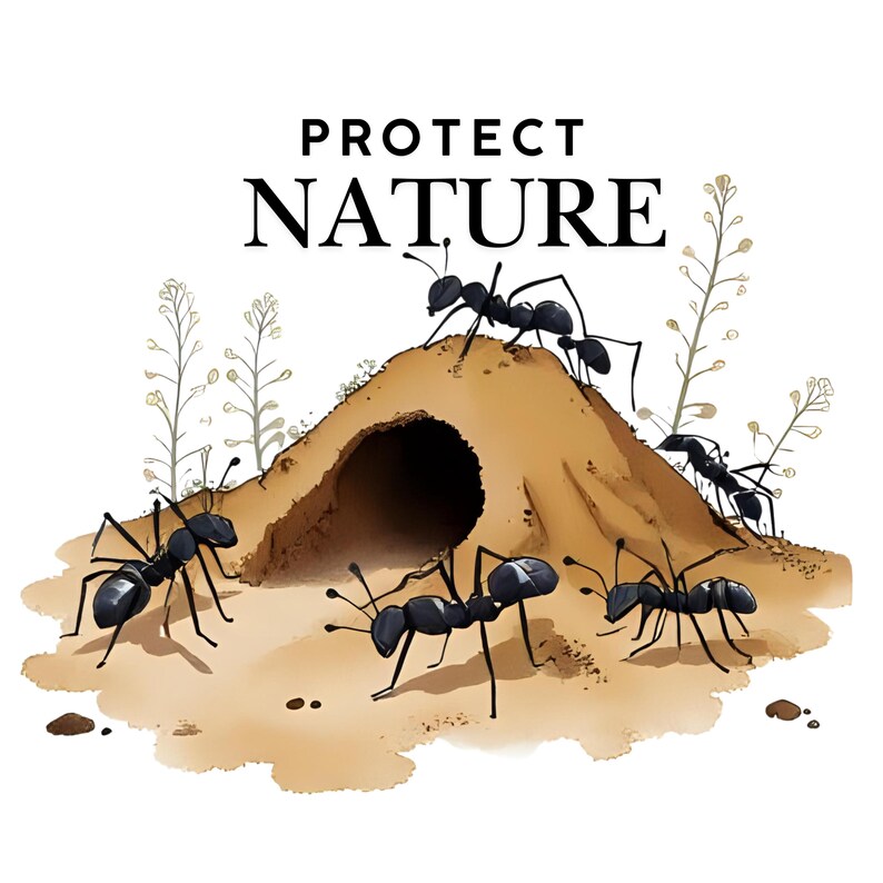 Ant Farm Eco Clipart | Ant Nest Art | Cute Green Living Ants | Sustainability & Teamwork Digital ...