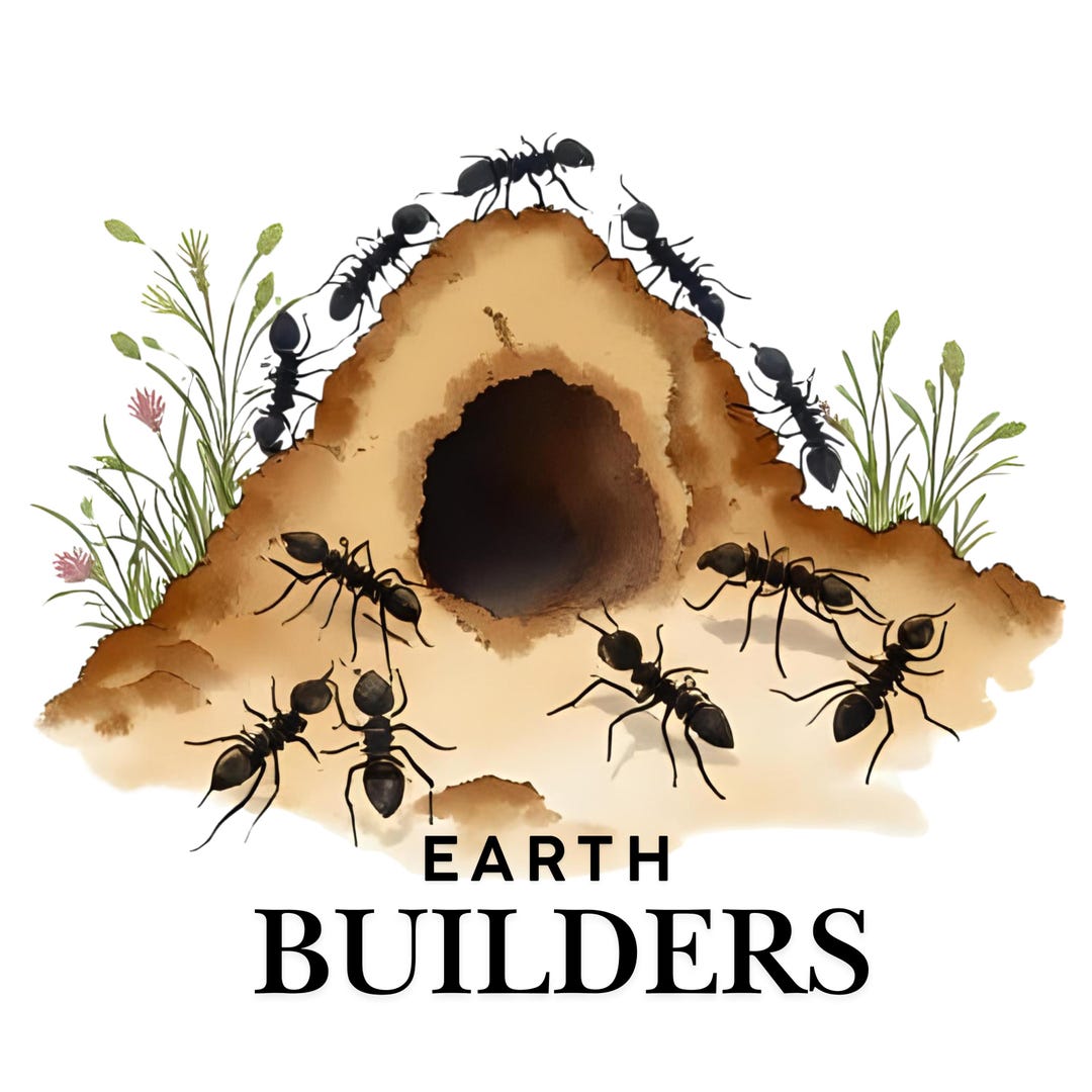 Ant Farm Clipart: Eco-themed Digital Stickers (PNG Download) - Etsy