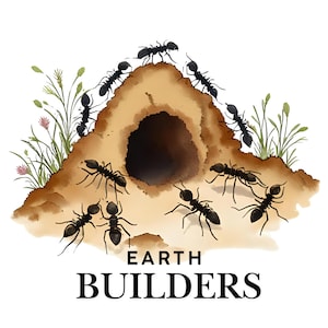 Ant Farm Clipart: Eco-themed Digital Stickers (PNG Download) - Etsy