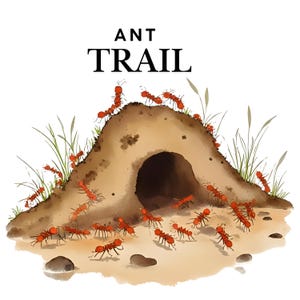 Ant Farm Eco Clipart | Ant Nest Art | Cute Green Living Ants ...