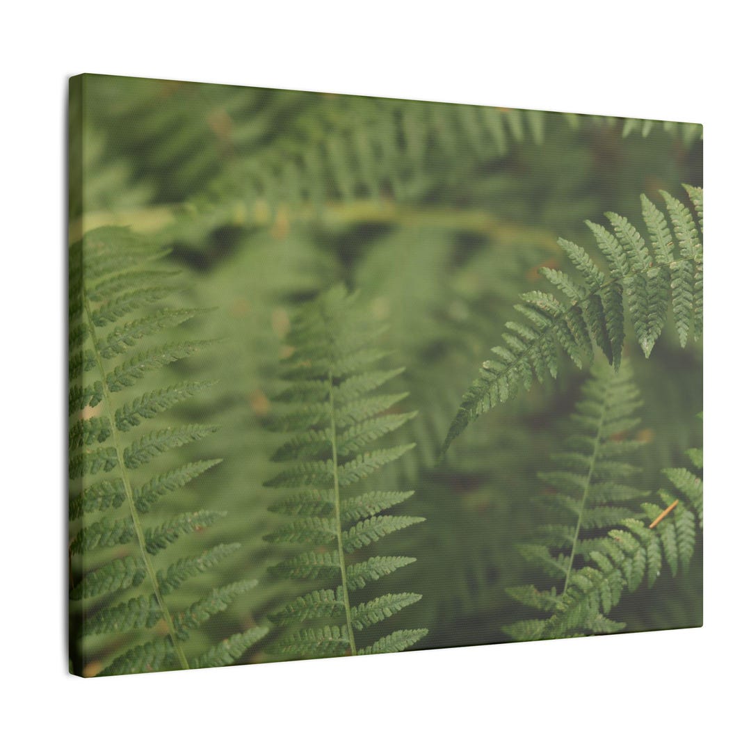 Rainforest Tree Leaves Matte Canvas, Stretched, 0.75, Plant Lovers ...