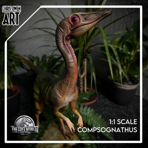 1:1 Scale Compsognathus 3D Printed Hand Painted & Finished Model by ...