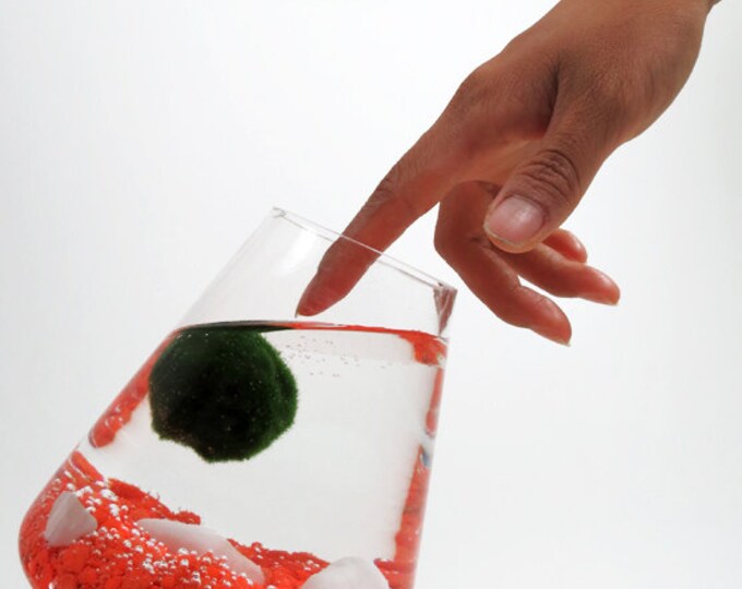 Marimo Rocking in Mars Discounted - Etsy