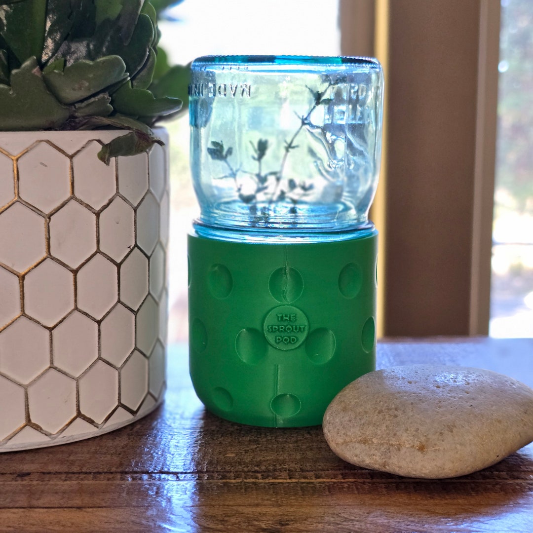 The Sprout Pod™ | Mini Desktop Green House - Grow Herbs & Moss Anywhere ...
