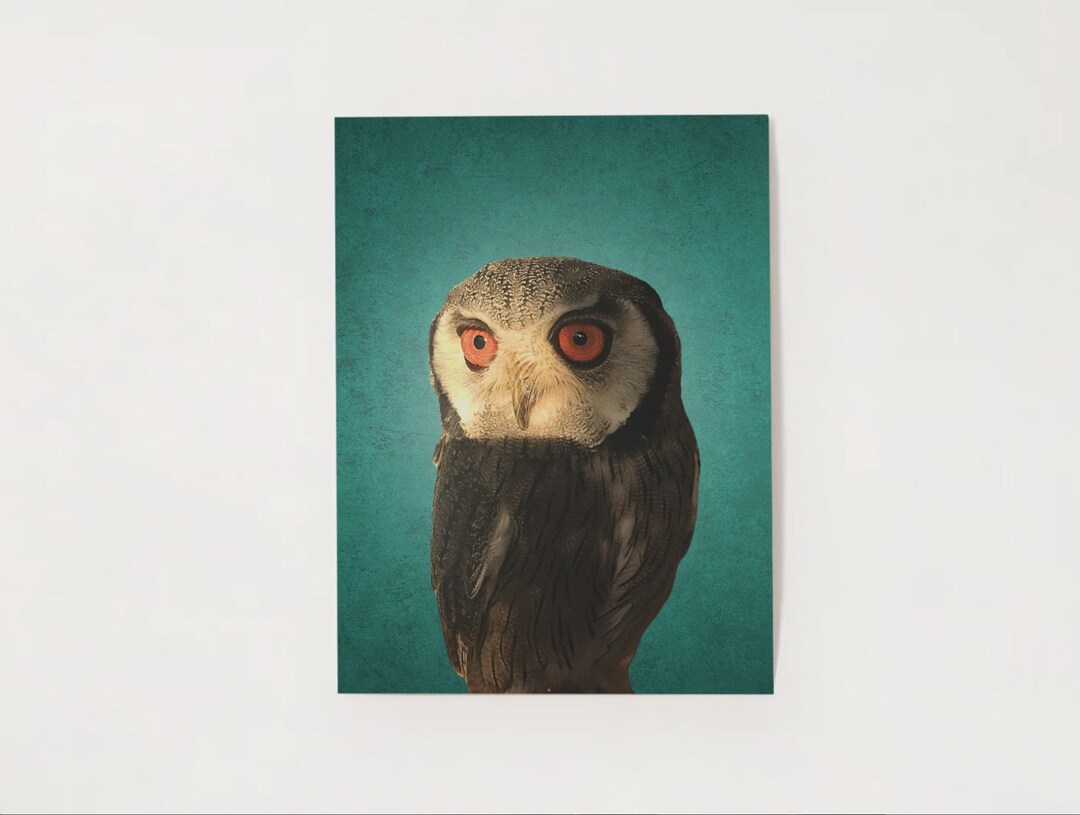 Fierce & Cute Owl Digital Art Collection | Instant Download (pdfs ...