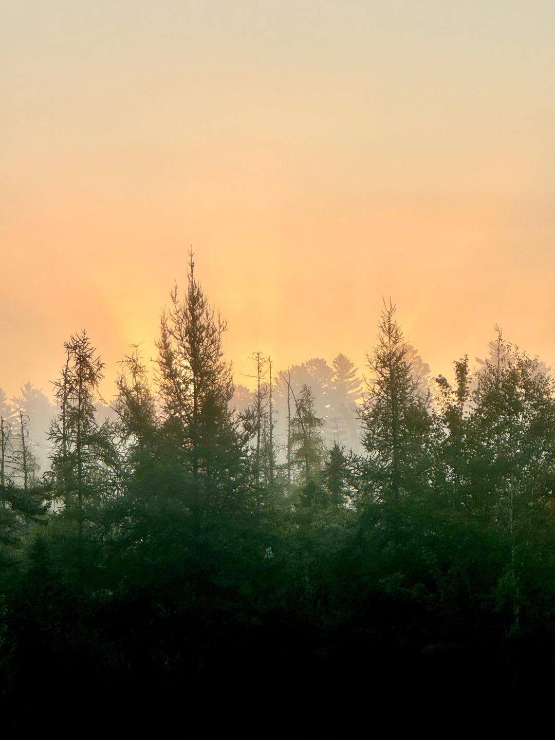 Adirondack Sunset 5x7 Print Matted to 8x10 - Etsy