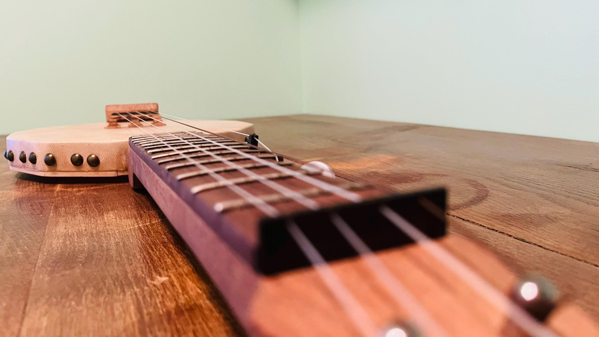 Tackhead Banjo With Frets - Etsy