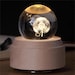 Crystal Ball Music Box LED Projection Music Rotating Wooden Seat Night ...