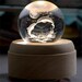 Dolphin Crystal Ball Music Box, Wooden Base, Castle in the Sky - Etsy