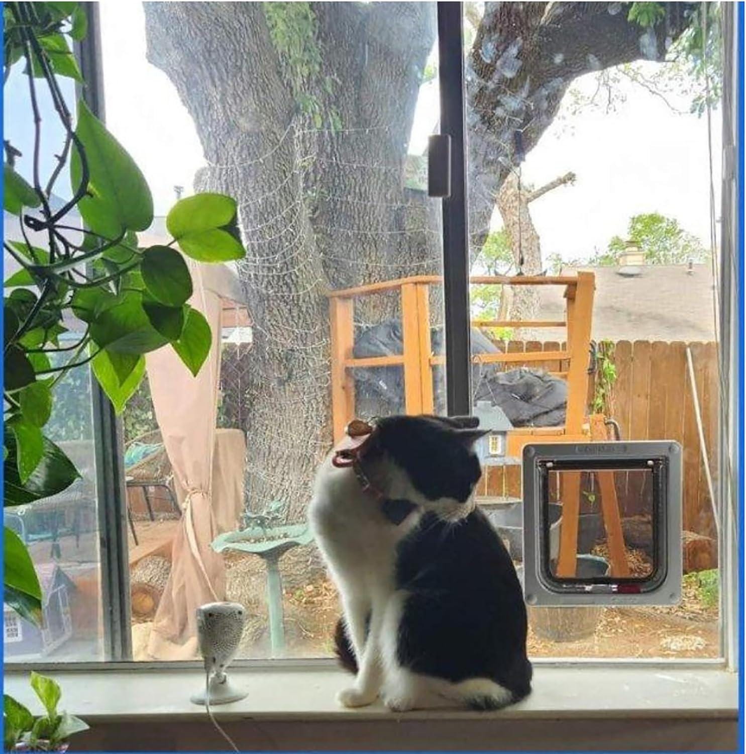 Custom Cat Door for Windows – Lockable, Easy Install & Removable ...