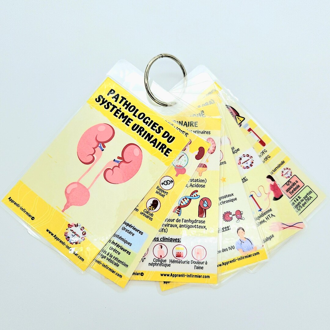 Urinary System Pathologies Nurse's Aid Cards and Summaries - Etsy