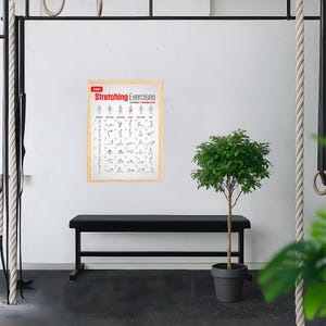 Rehabilitation Wall Art for Hospital Rooms Stretching Exercise Chart ...