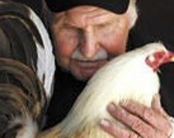 Gamefowl World Slasher Cup 2005 DVD 5 Disc - Etsy