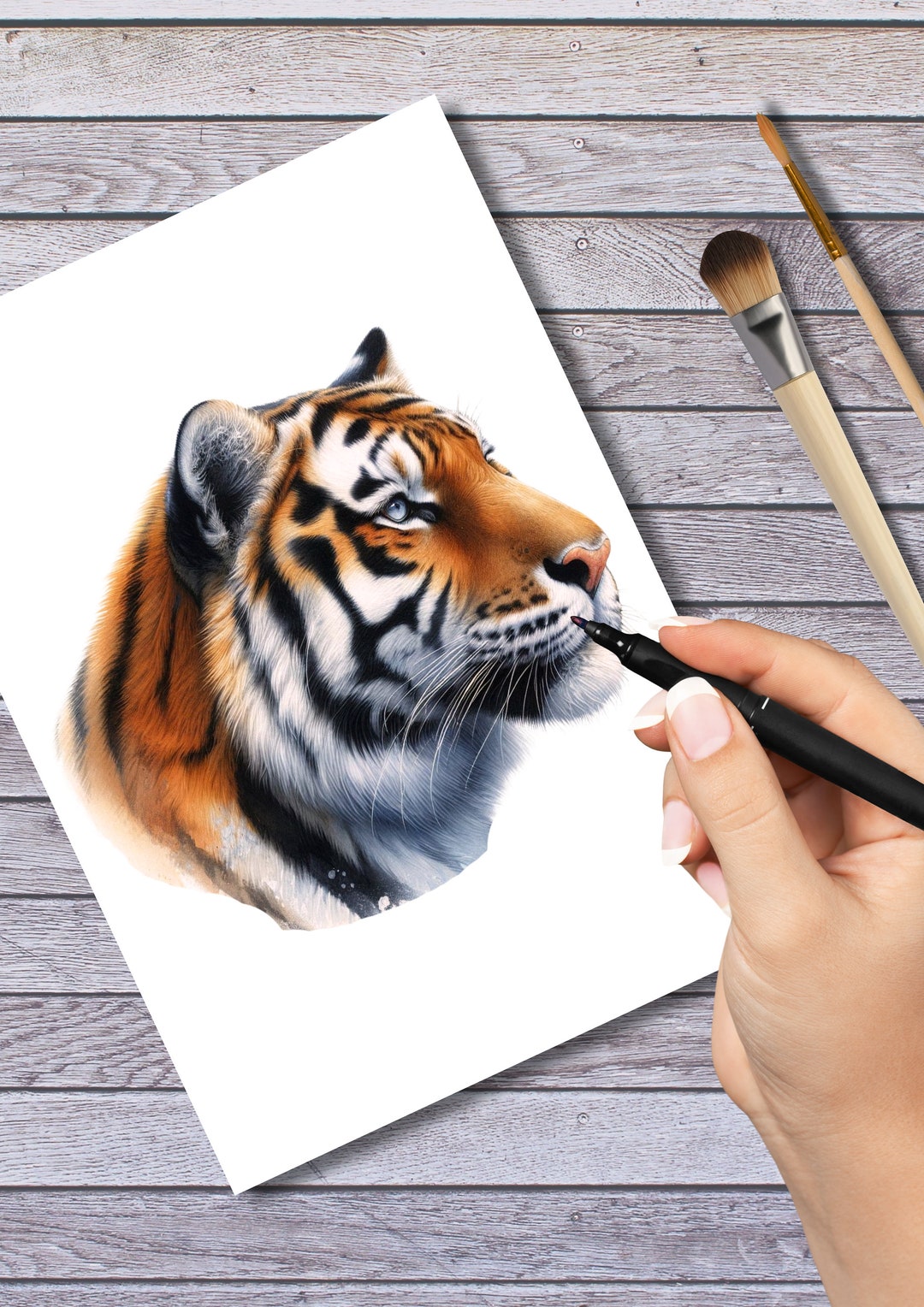 Illustration of a Tiger in Watercolor and Colored Pencils Inkjet Print ...