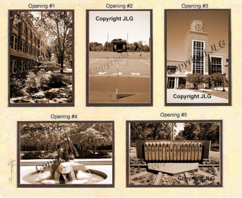 Stephen F. Austin State University (SFA) - Photo College Collage ...