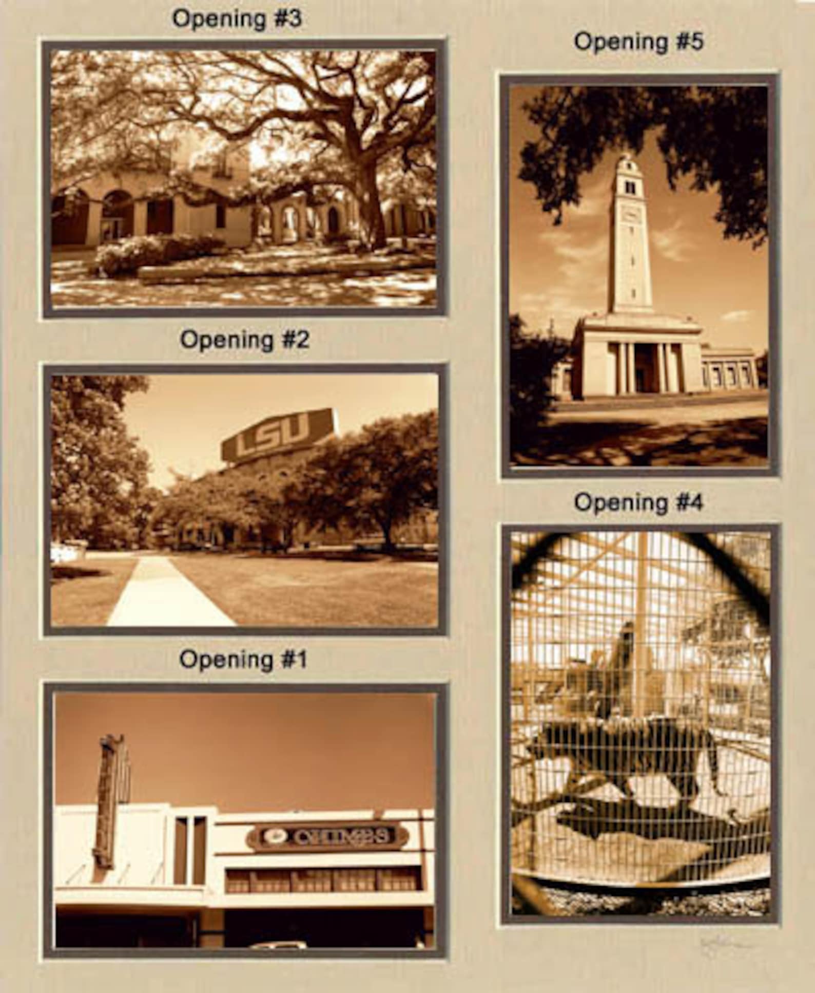 Louisiana State University (LSU) - Photo College Collage - Baton Rouge ...