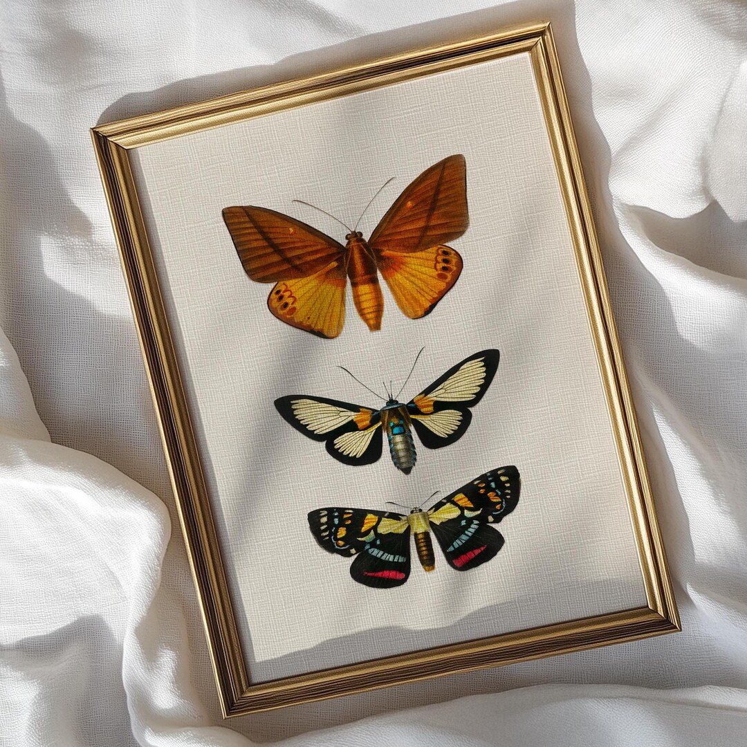 Vintage Antique Butterfly Set of 3, Digital Download Print, Cream ...