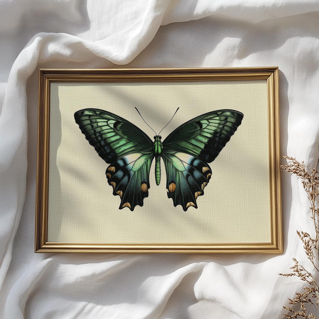 Vintage Emerald Green Butterfly Print, Antique Insect Illustration ...