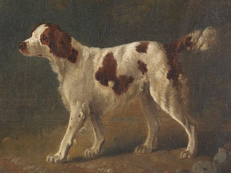 Printable Vintage English Springer Spaniel Portrait Painting, Antique ...