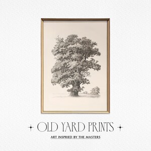 Traditional Oak Tree Etching Printable Wall Art, Rustic Farmhouse Decor ...