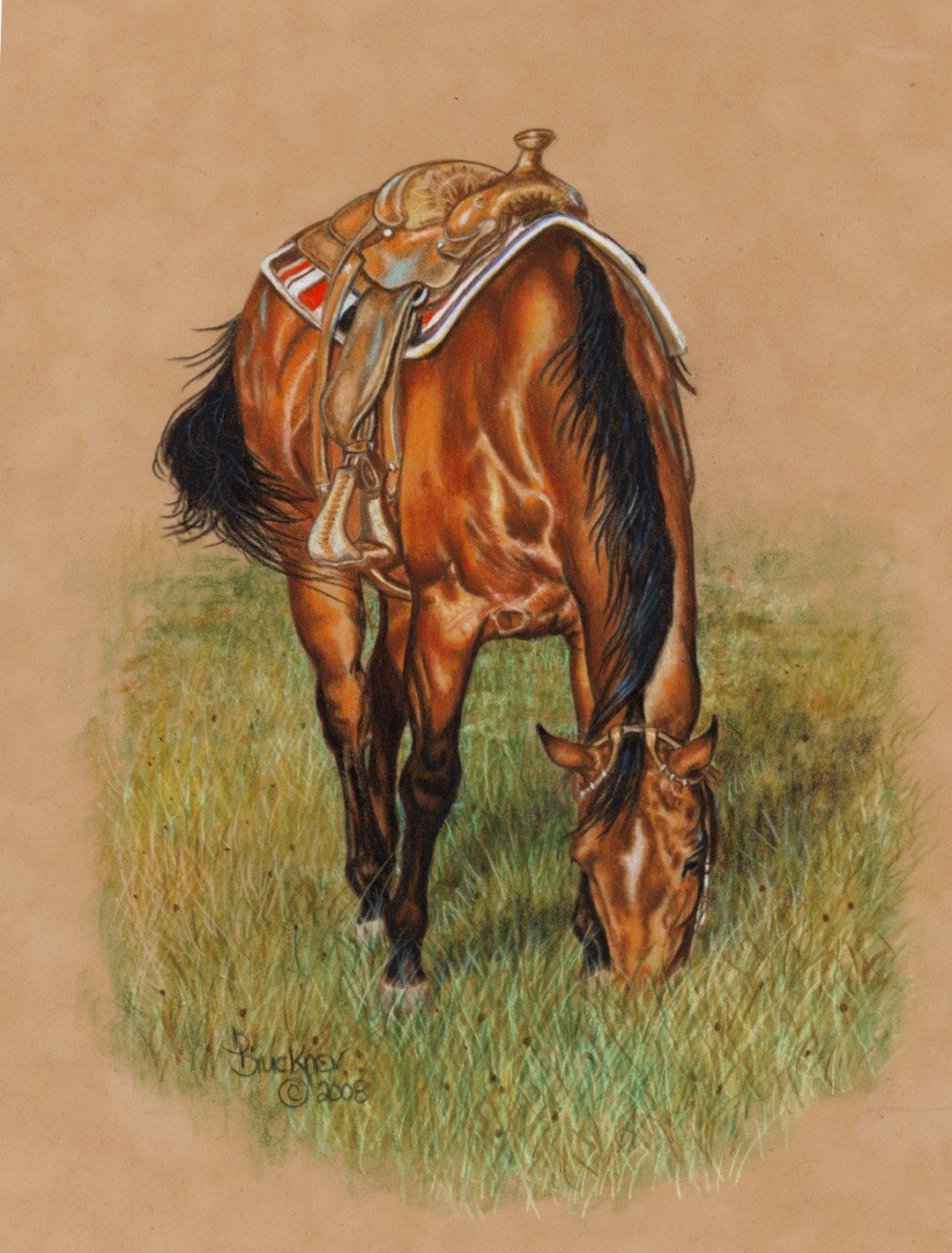 Quarter Horse Drawings