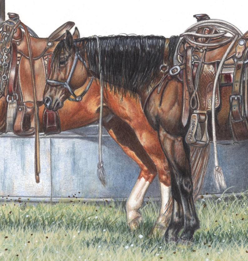 Ranch Horses at Water Tank Drawing ~ Saddled Western Quarter Horses ...