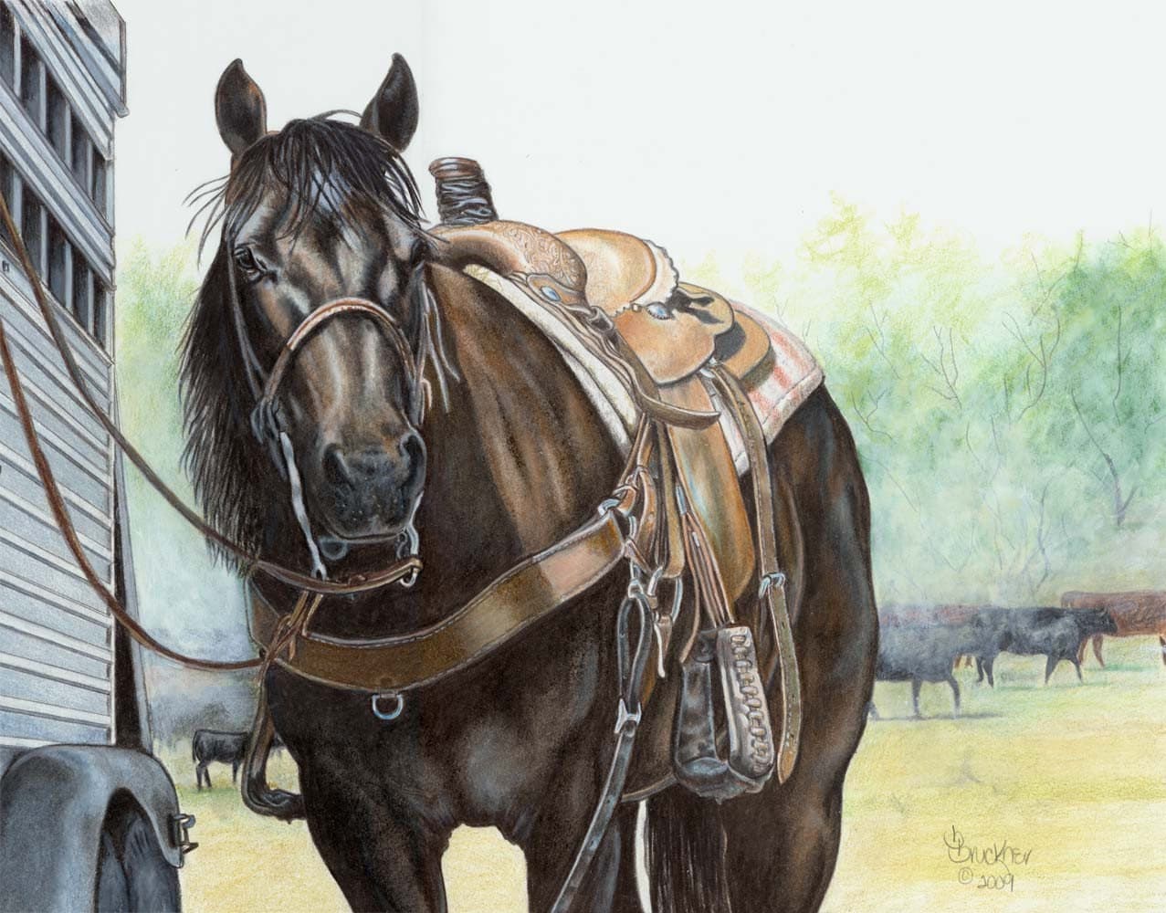 Equine Art Print ~ "the Professional" ~ Western Ranch Horse ~ Saddle ...