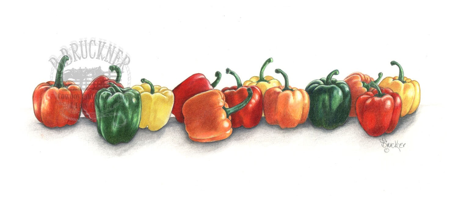 Colorful Lineup of Pretty Peppers From a Colored Pencil Drawing ...