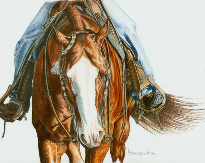 Colored Pencil Portrait of AQHA Western Saddle Horse ~ Equine Print ...