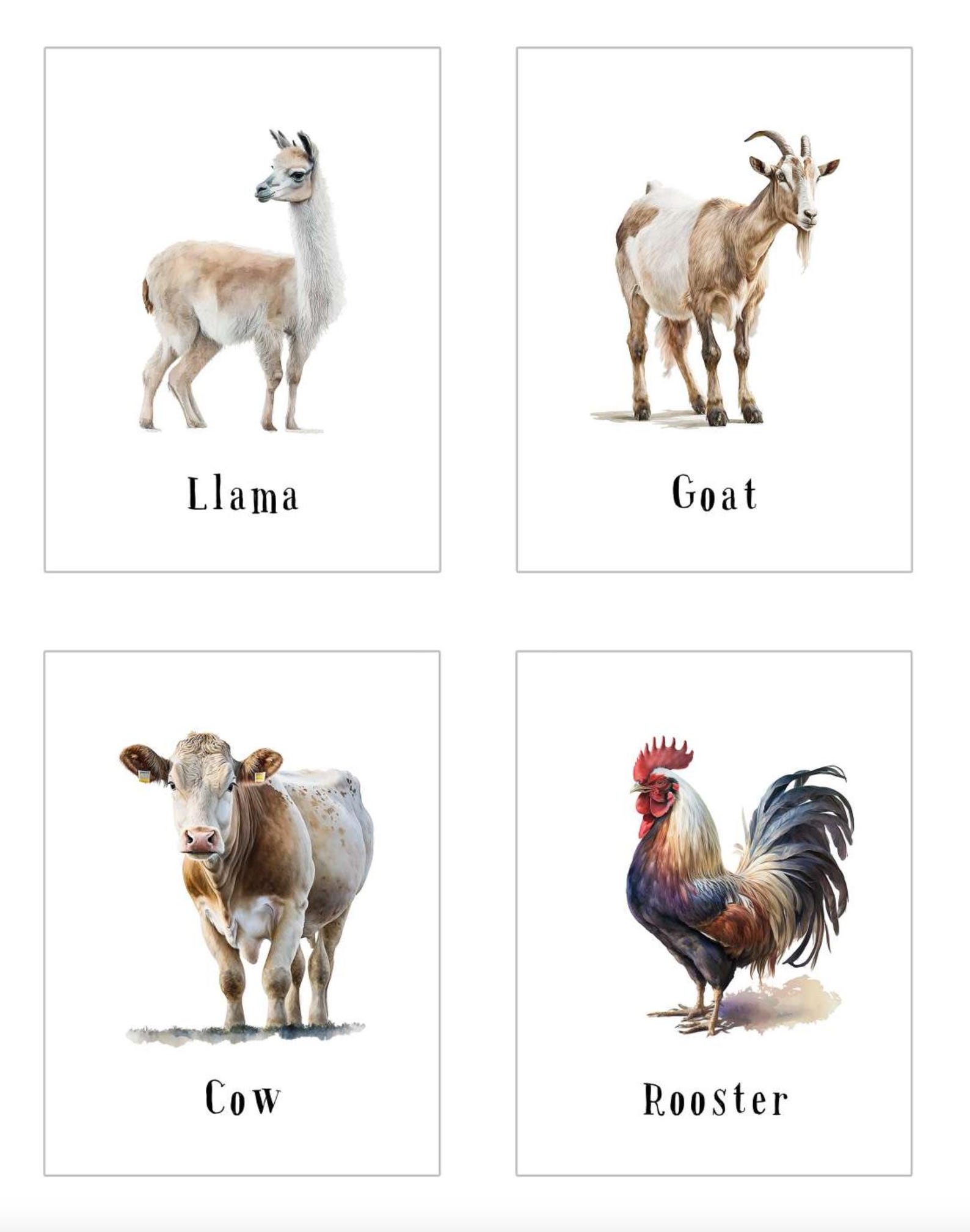 Printable Flashcard Bundle - 300+ Educational Cards - Shapes, Numbers ...