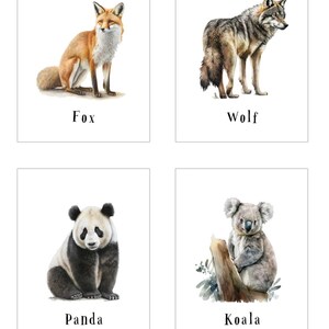 Printable Flashcard Bundle - 300+ Educational Cards - Shapes, Numbers ...