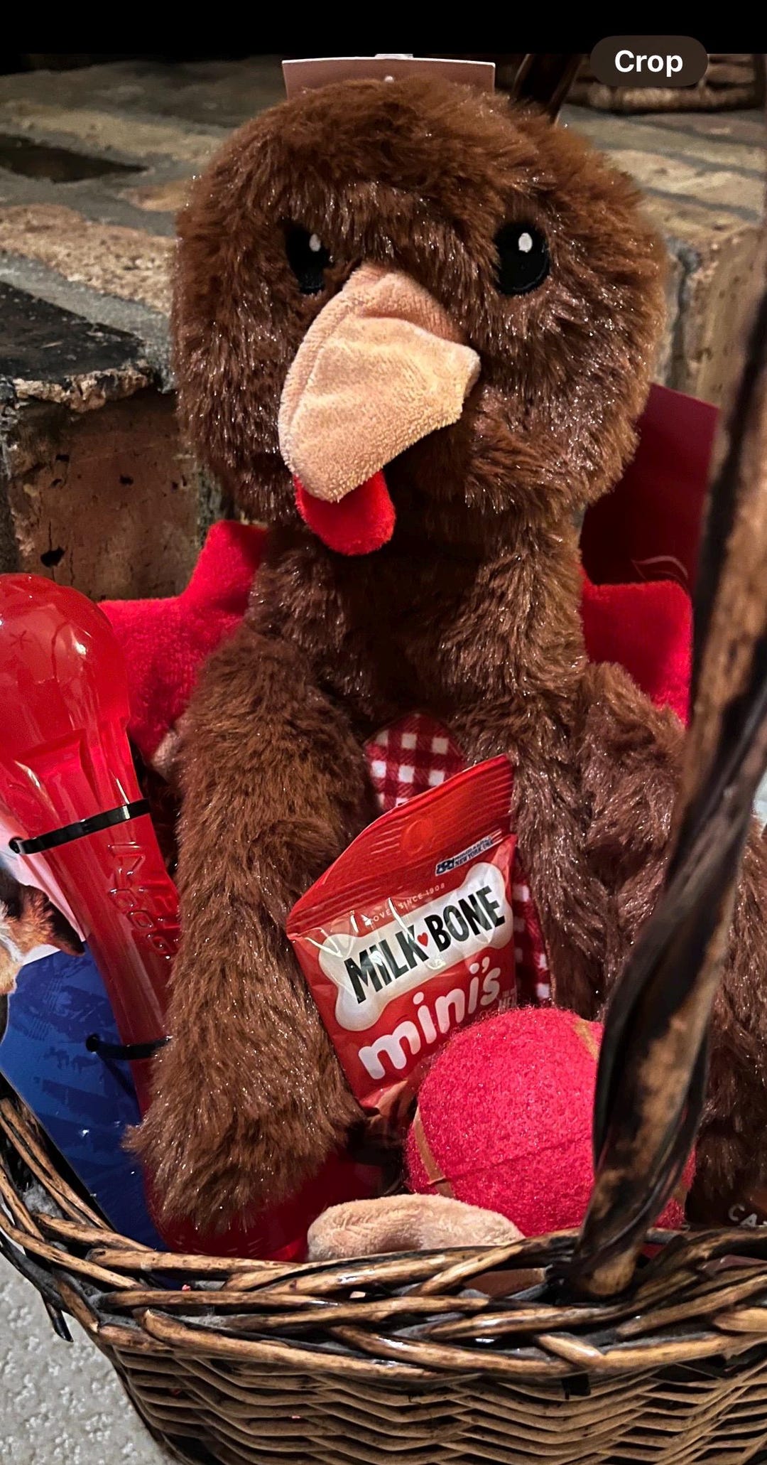 Pet Gift Box Dog Gift Box Gifts for Dog Fall Gift Box Dog Gift Basket ...