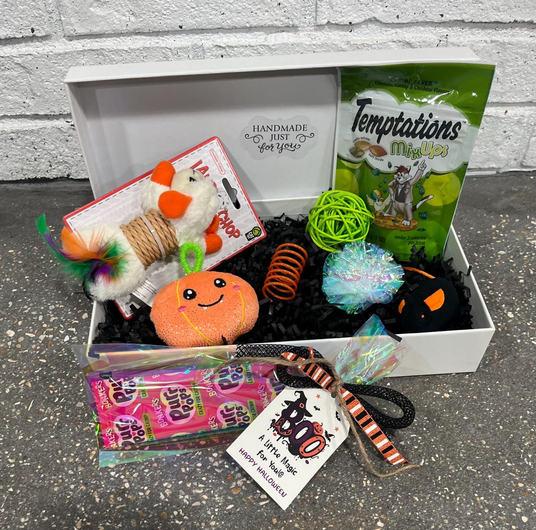 Halloween Cat Gift Box | Spooky Cat Toys & Treat Set | Curated ...