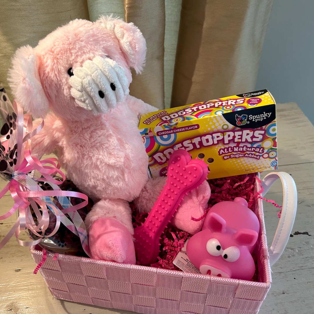 Welcome Home Puppy Gift Box New Puppy Gift Box Gift for Dog Puppy ...