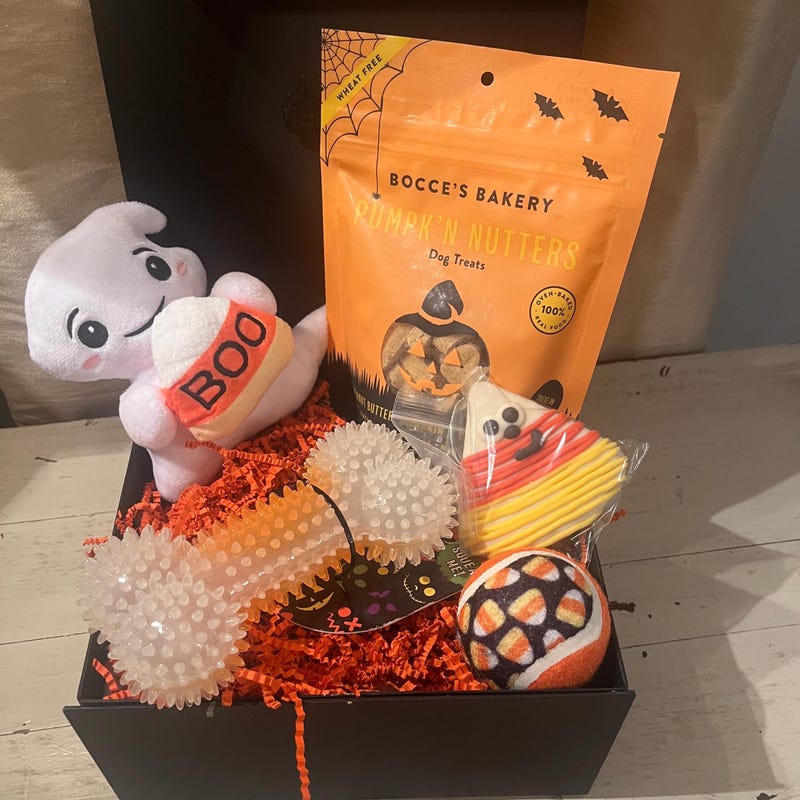 Dog Gift Box - 60+ Gift Ideas for 2024