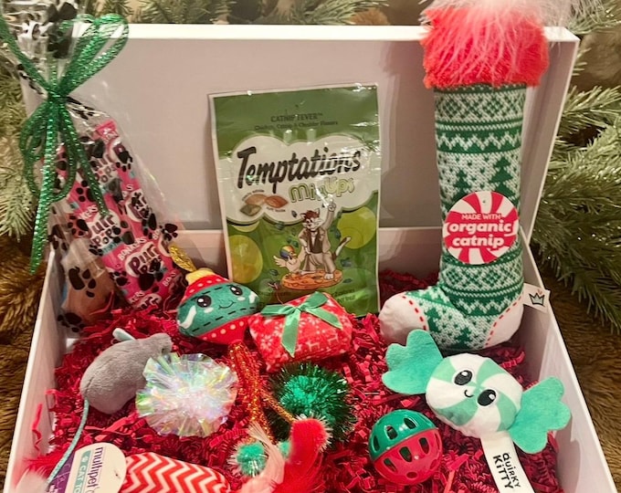 Christmas Cat Gift Box Holiday Cat Toys and Treats Cat Stocking Stuffer ...