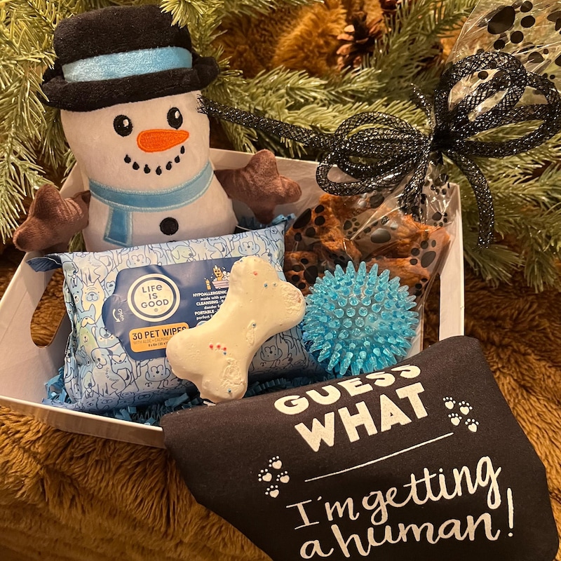 New Puppy Gift - 60+ Gift Ideas for 2025