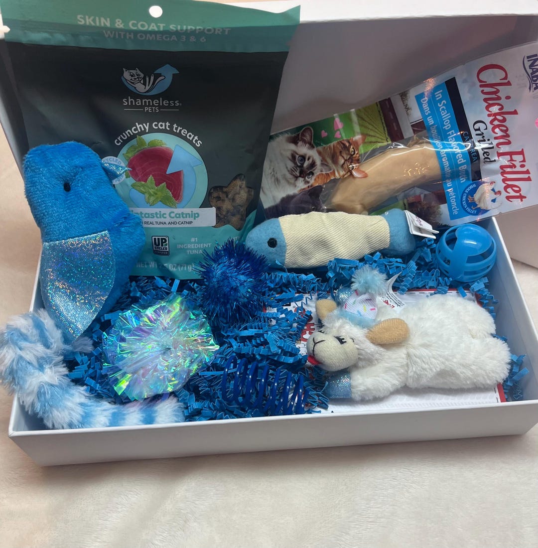 Cat Birthday Gift Box Feline Surprise Present Welcome Home Kitten Purr ...