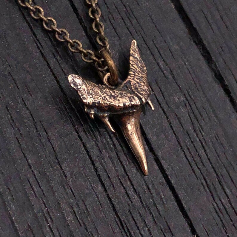 Solid Bronze Fossilized Shark Tooth Necklace 60 Million Year - Etsy