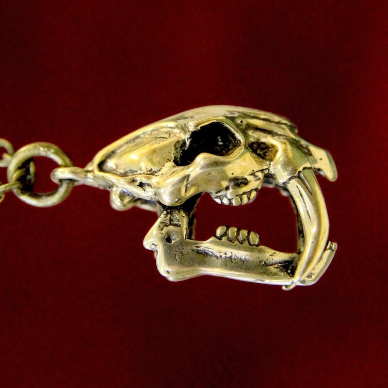 Sabertooth Skull for sale | Only 3 left at -60%